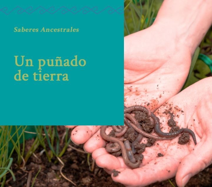 Saberes Ancestrales – Un puñado de tierra – Fundación Caserta